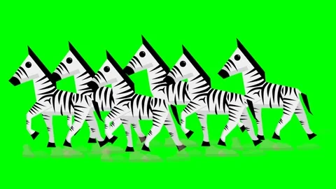 Zebra herd walks dusty plain, green scre... | Stock Video | Pond5