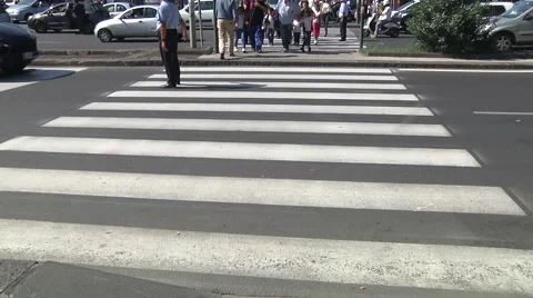 Zebra Cross Stock Footage ~ Royalty Free Stock Videos | Pond5