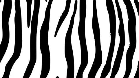 Zebra Skin Pattern Background Overlay An... | Stock Video | Pond5