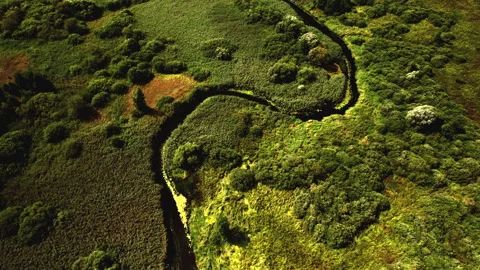 Zigzag River in wild. Water supply. Smal... | Stock Video | Pond5