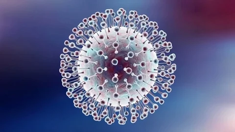 Zika virus structure, animation | Stock Video | Pond5