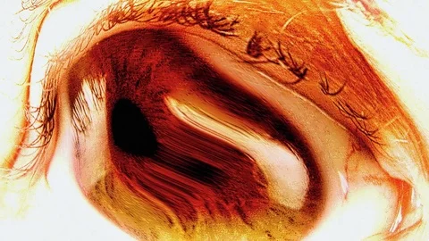 Jeans Creepshots Stock Video Footage | Royalty Free Jeans Creepshots ...