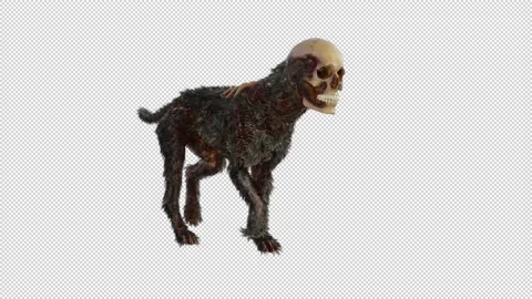 Animation Transparent Background Stock Videos – Royalty-Free HD & 4K Videos