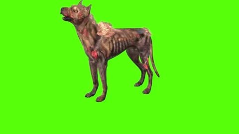 Zombie Dog Bite Green Screen Animation a... | Stock Video | Pond5