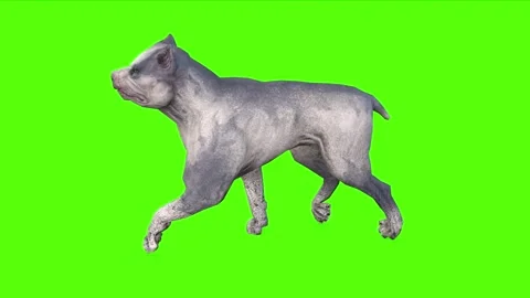 Dog Walking Animation Reference