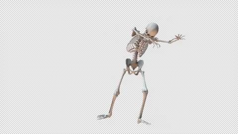 Skeleton Walking Stock Videos – Royalty-Free HD & 4K Videos | Pond5