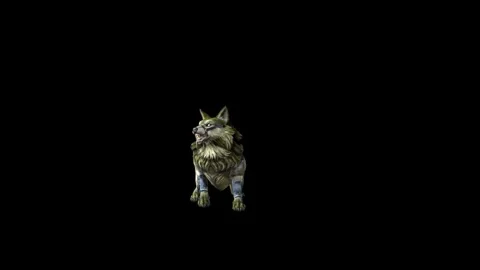 Zombie Wolf KT attack black background... | Stock Video | Pond5