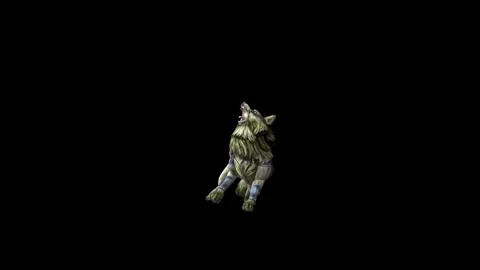 Zombie Wolf KT death black background a... | Stock Video | Pond5