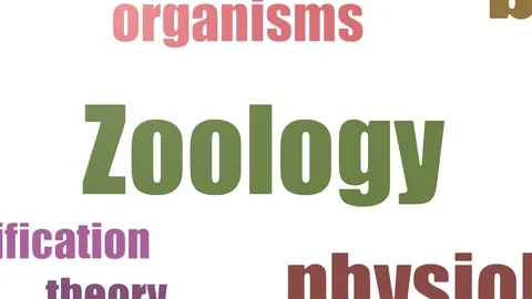 Zoology Stock Video Footage | Royalty Free Zoology Videos | Pond5