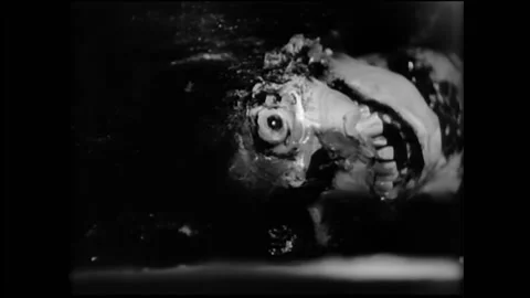 Female Corpse Stock Video Footage | Royalty Free Female Corpse Videos ...
