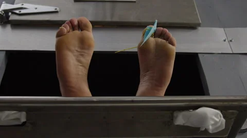 Zoom in to feet in morgue cooler corpse ... | Stock Video | Pond5