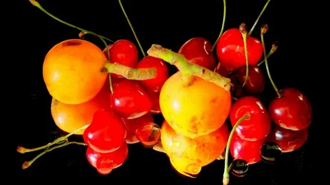 Orange Background Zoom Stock Videos – Royalty-Free HD & 4K Videos | Pond5