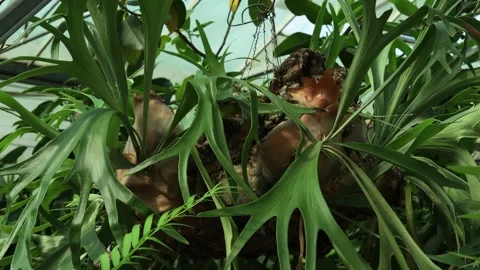 Zoom out camera movement with closer vie... | Stock Video | Pond5