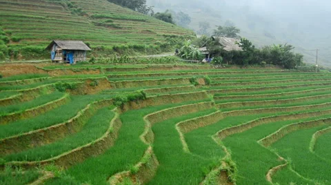 Zoom Out of Farm House with Rice Terrace... | Stock Video | Pond5
