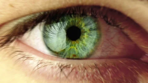 Eye Zoom Stock Videos – Royalty-Free HD & 4K Videos | Pond5