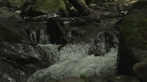 Non Colour Graded Stock Video Footage | Royalty Free Non Colour Graded ...