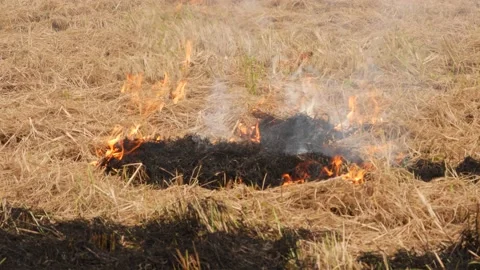 Zoomed in video of fire burning a partic... | Stock Video | Pond5