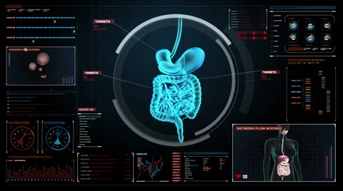 Zooming body scanning internal organs, D... | Stock Video | Pond5