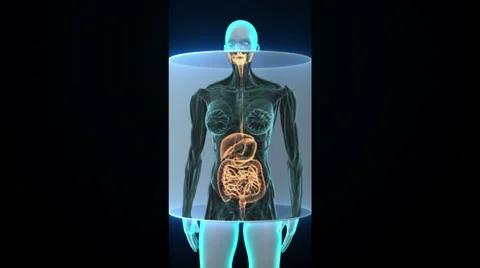 Zooming female Human body scanning inter... | Stock Video | Pond5