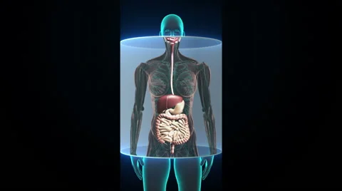 Zooming female Human body scanning inter... | Stock Video | Pond5