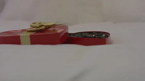 Heart Zooming Stock Videos – Royalty-Free HD & 4K Videos