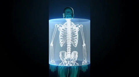 Zooming Human skeletal structure, bone s... | Stock Video | Pond5