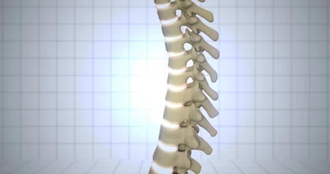 Zooming to skeleton - human anatomy conc... | Stock Video | Pond5