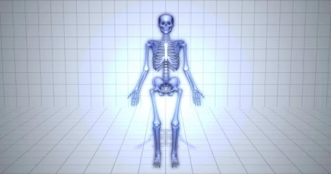 Zooming to skeleton - human anatomy conc... | Stock Video | Pond5