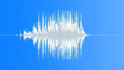 Sound Effect: Zuru Xshot Barrel Crank Toy Gun Crank Barrel Fast 04.wav ...