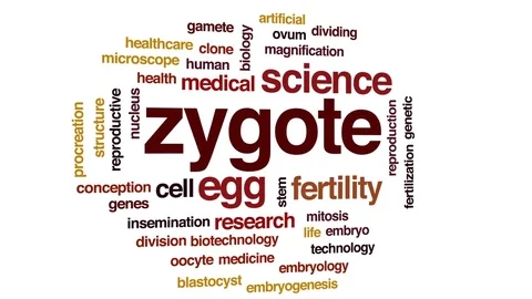 Zygote animated word cloud, text design ... | Stock Video | Pond5