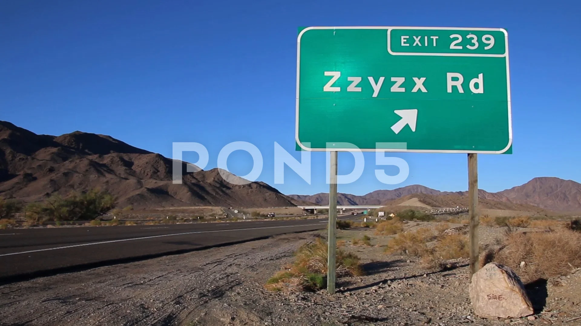 Curtis Howe Springer